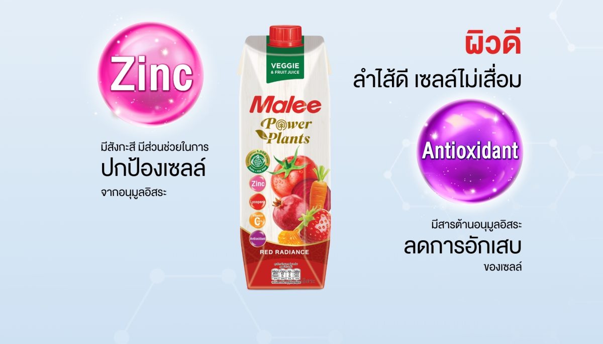 ใหม่! มาลี เพาเวอร์ แพลนท์ มี “INNOGUTZ”