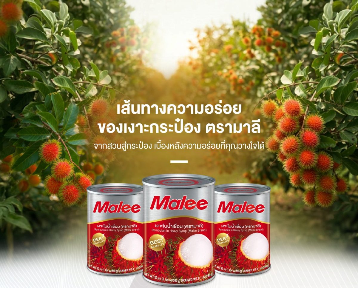เส้นทางความอร่อยของเงาะกระป๋อง ตรามาลี จาสวนสู่กระป๋อง เบื้องหลังความ ...