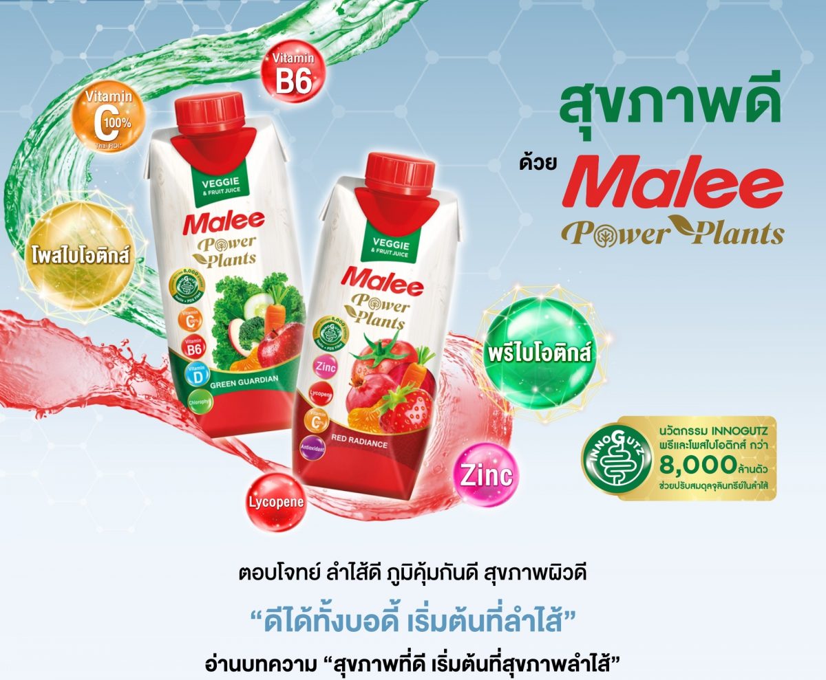 ใหม่! มาลี เพาเวอร์ แพลนท์ มี “INNOGUTZ”